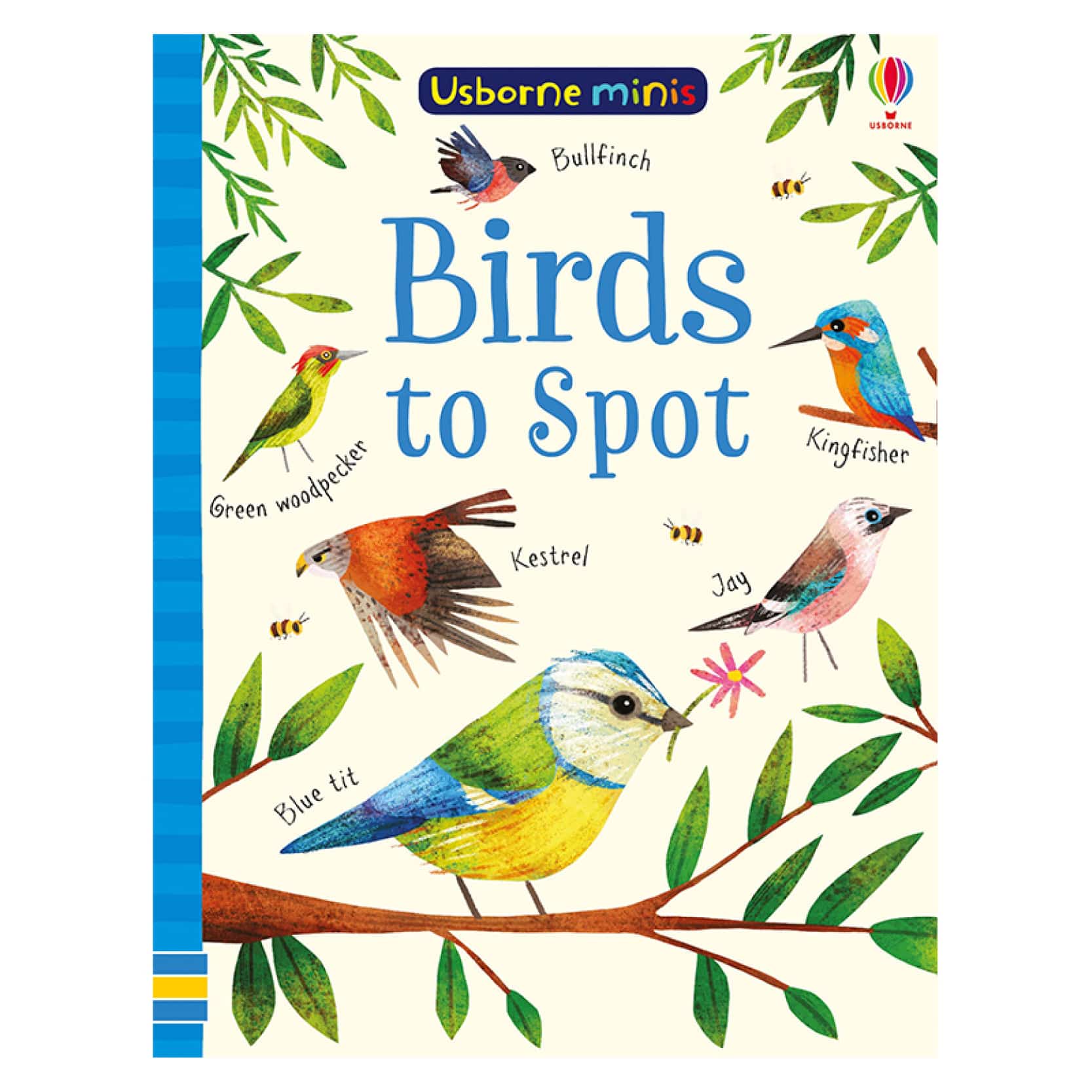 Mini Birds to Spot Book - Island Blue Tobermory
